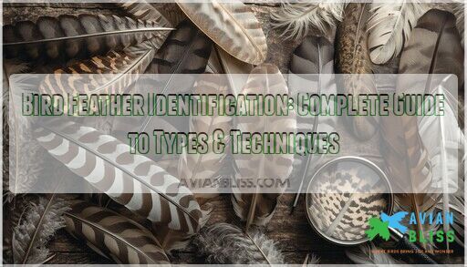 Bird Feather Identification: Complete Guide to Types & Techniques