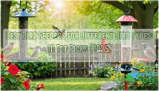 Blue Birds With Orange Chest: Stunning Species and Where to Spot Them