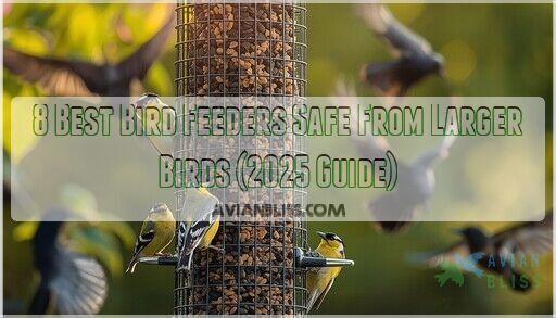 How to Feed Wild Birds: 7 Expert Tips for Safe Backyard Feeding