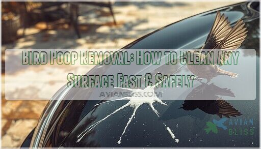 Bird Poop Removal: How to Clean Any Surface Fast & Safely