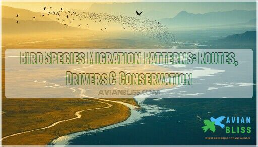 Bird Species Migration Patterns: Routes, Drivers & Conservation