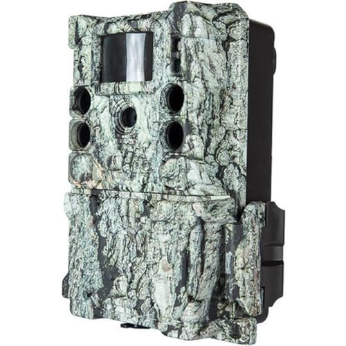 Bird Watching Camera Traps: Setup Guide + 7 Best Models (2025)