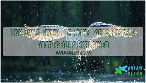 Can Owls Fly in The Rain? Facts, Risks & Adaptations Explained