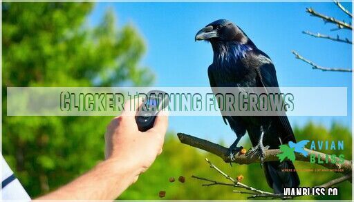 Can Crows Be Tamed? Training, Trust & What You Need to Know