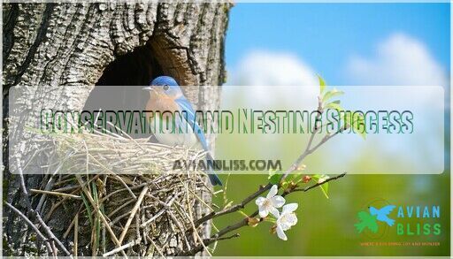 Eastern Bluebird Nesting Habits: Behavior, Breeding & Care Guide