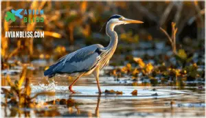 Northern Hawk Owl Facts: Habitat, Diet, and Conservation Explained