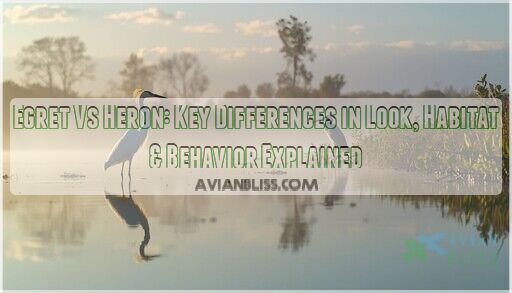 Egret Vs Heron: Key Differences in Look, Habitat & Behavior Explained