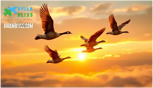 Understanding Bird Flight Patterns: Anatomy, Aerodynamics & Types