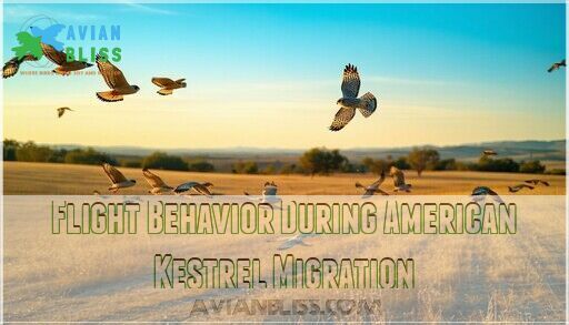 American Kestrel Migration Map: Seasonal Patterns, Triggers & Movements