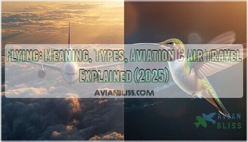 Flying: Meaning, Types, Aviation & Air Travel Explained (2025)