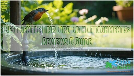 Best Gentle Drip Bird Bath Attachments: Reviews & Guide