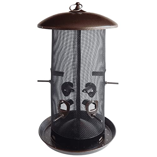 9 Best Large Capacity Bird Feeders (2025 Reviews & Buying Guide)