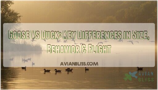 Goose Vs Duck: Key Differences in Size, Behavior & Flight