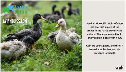 Hook Bill Ducks: Rare Breed Origins, Care & Conservation