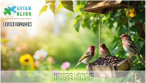 14 Common Bird Species in Gardens: Identify & Attract Them