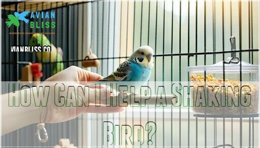 Why is My Bird Shaking? Causes, Signs & When to See a Vet