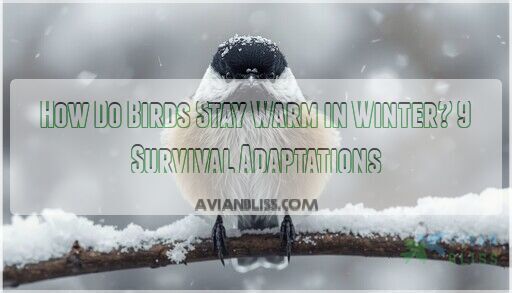 How Do Birds Stay Warm in Winter? 9 Survival Adaptations