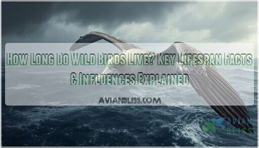 How Long Do Wild Birds Live? Key Lifespan Facts & Influences Explained
