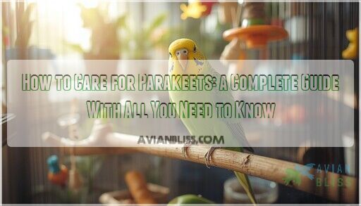How to Care for Parakeets: a Complete Guide With All You Need to Know