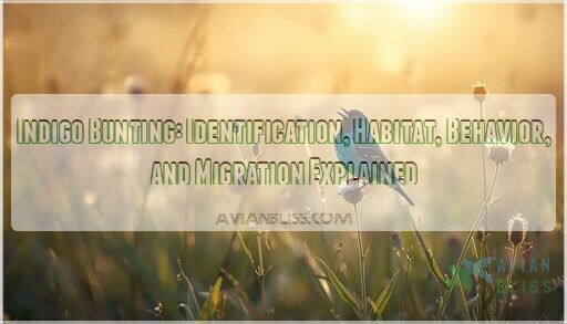 Indigo Bunting: Identification, Habitat, Behavior, and Migration Explained