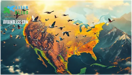 Types of Bird Migration: Patterns, Routes & What Drives Them