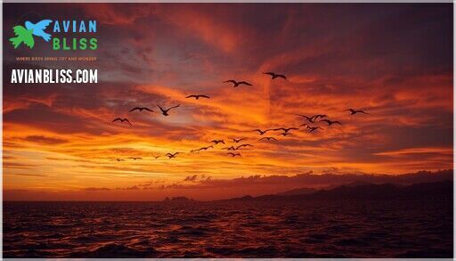 Where Do Different Birds Migrate? Routes, Patterns & Flyways