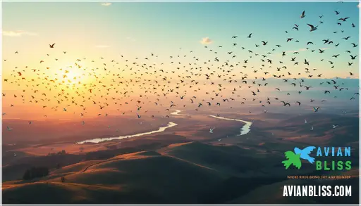 Why Bird Migration Research Matters: Science, Ecology & Conservation