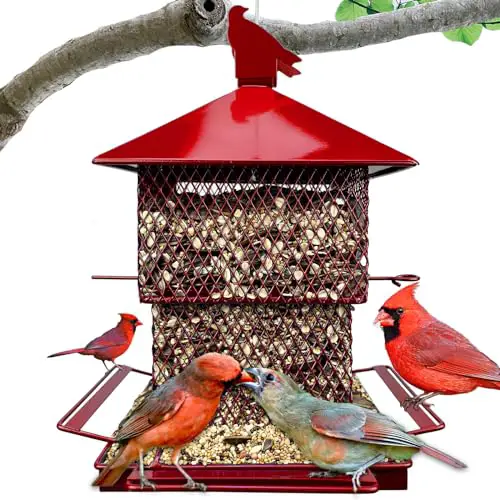 9 Best Large Capacity Bird Feeders (2025 Reviews & Buying Guide)