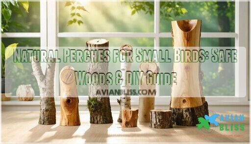 Natural Perches for Small Birds: Safe Woods & DIY Guide