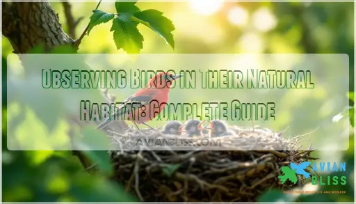 Observing Birds in Their Natural Habitat: Complete Guide