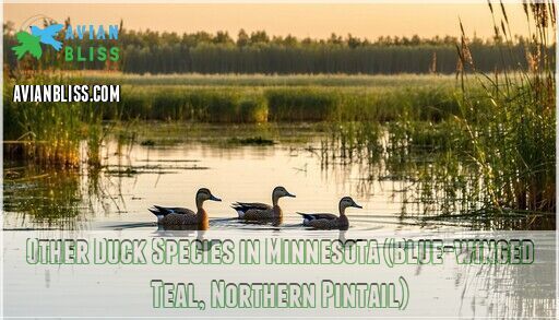 Minnesota Ducks: Species, Migration, Habitat & Conservation Guide
