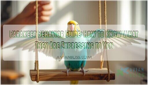 Parakeet Behavior Guide: How to Know What They Are Expressing to You