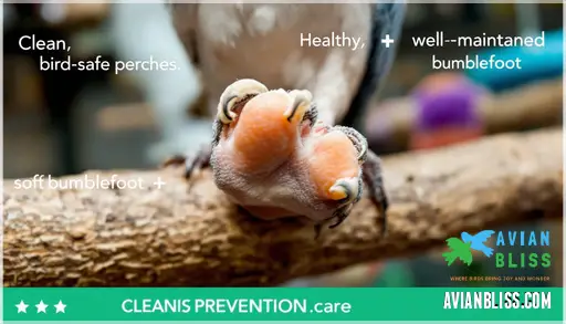 Bird Foot Injury Prevention: Tips, Signs & First Aid Guide