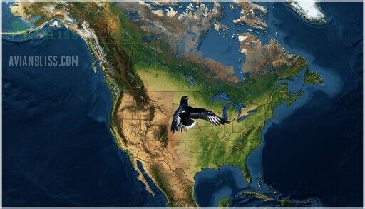 Birds of North America: Species, ID Tips & Conservation