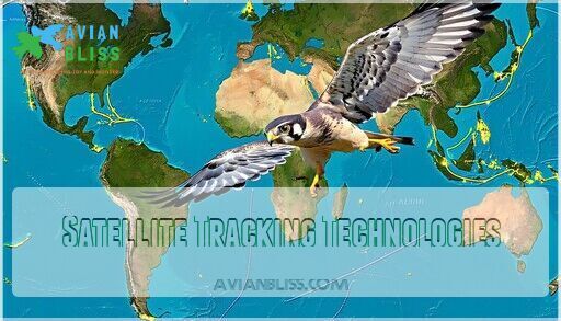American Kestrel Migration Map: Seasonal Patterns, Triggers & Movements