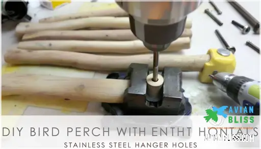 Natural Perches for Small Birds: Safe Woods & DIY Guide