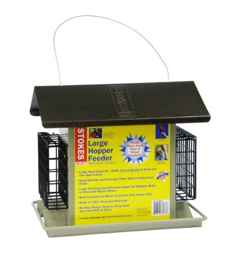 9 Best Large Capacity Bird Feeders (2025 Reviews & Buying Guide)