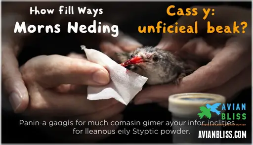 How to Treat a Bird With a Broken Beak: Complete Care Guide
