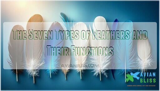 Bird Feather Identification: Step-by-Step Techniques & Tools