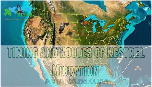 American Kestrel Migration Map: Seasonal Patterns, Triggers & Movements