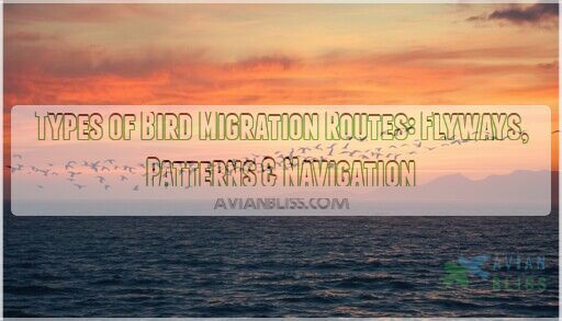 Types of Bird Migration Routes: Flyways, Patterns & Navigation