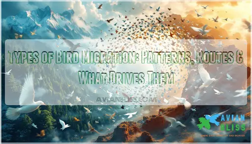 How Birds Navigate Migration: 5 Shocking Secrets of Nature's GPS System