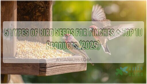 Types of Beach Birds: Identification, Habitats & Conservation