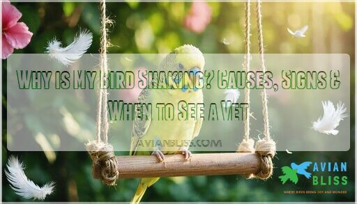 Why is My Bird Shaking? Causes, Signs & When to See a Vet