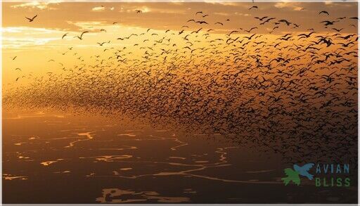Where Do Birds Go During Migration? Routes, Habitats & Secrets