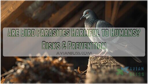 Are Bird Parasites Harmful to Humans? Risks & Prevention