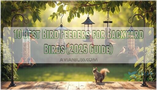 10 Best Bird Feeders for Backyard Birds (2025 Guide)