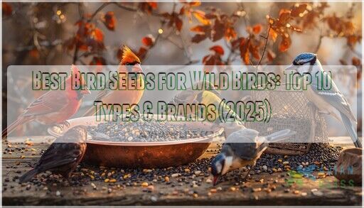 Best Bird Seeds for Wild Birds: Top 10 Types & Brands (2025)