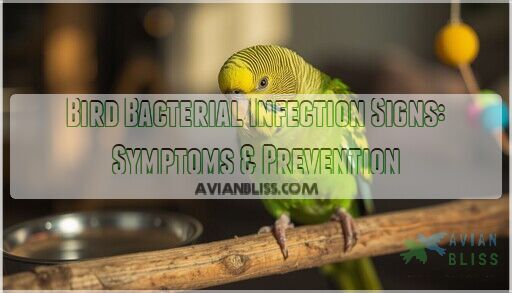 Bird Bacterial Infection Signs: Symptoms & Prevention