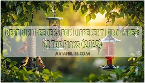 Best Bird Feeders for Different Bird Types: 10 Top Picks (2025)